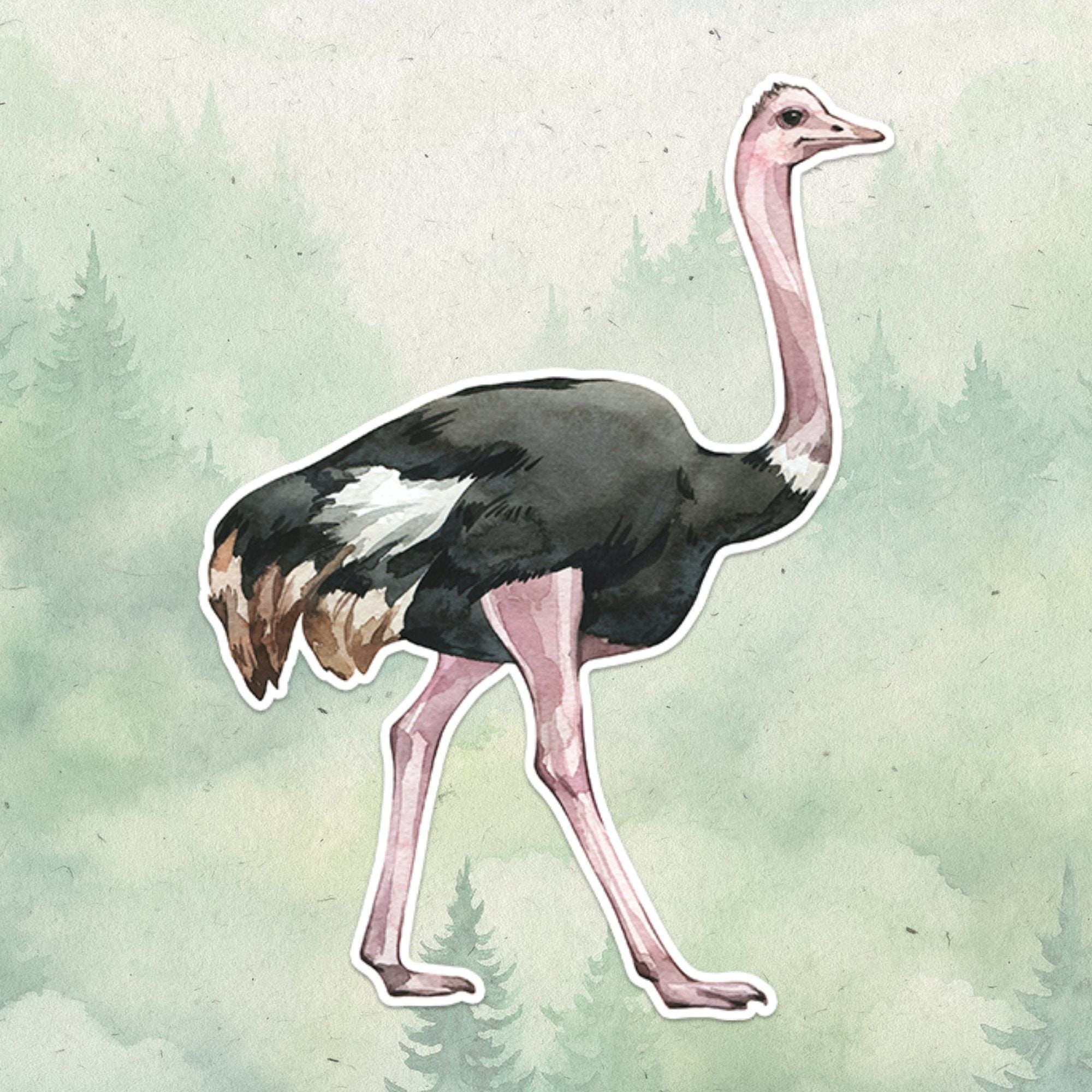 Ostrich sticker – Soul Familiar