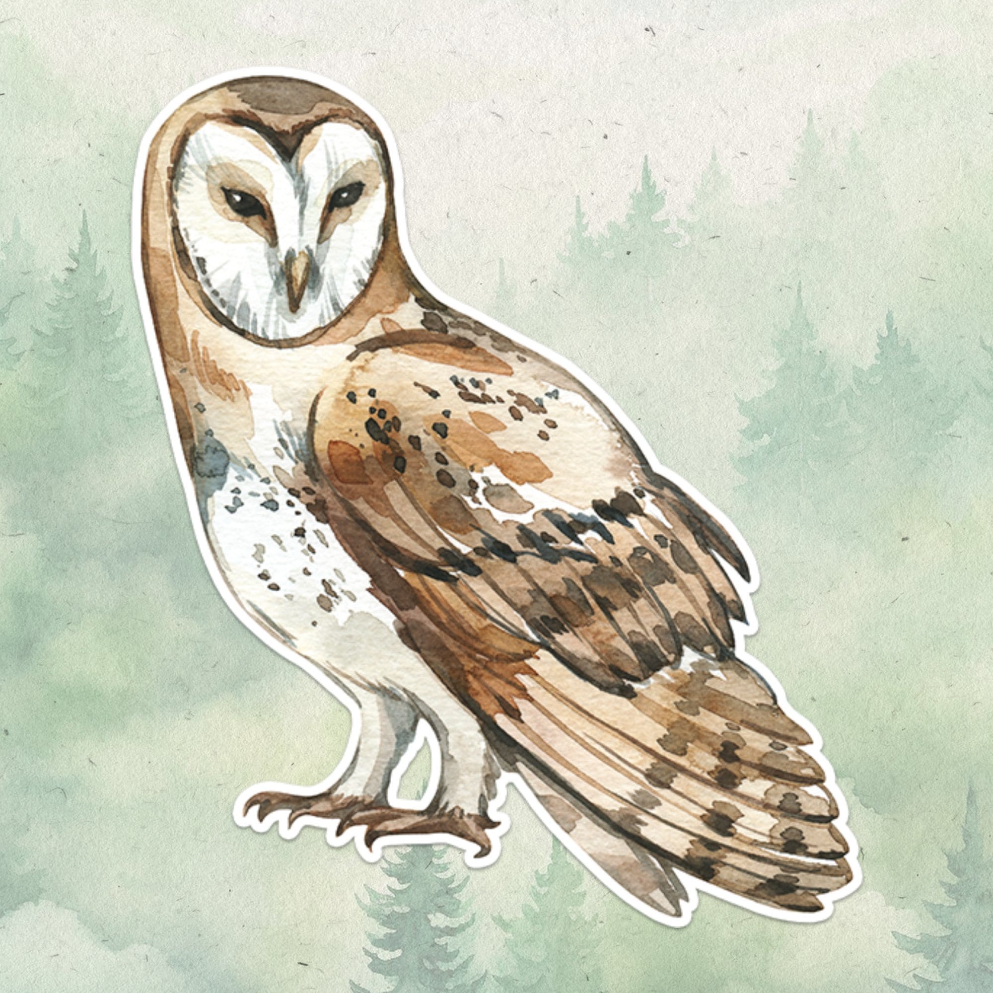Barn owl sticker – Soul Familiar
